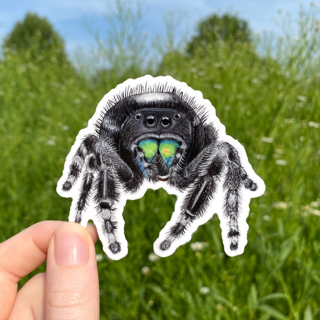 Bold Jumping Spider Vinyl Sticker – Little Craft Place