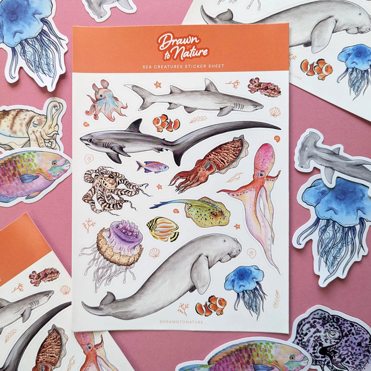 Drawn to Nature - Sea Creatures Sticker Sheet – Little Craft Place