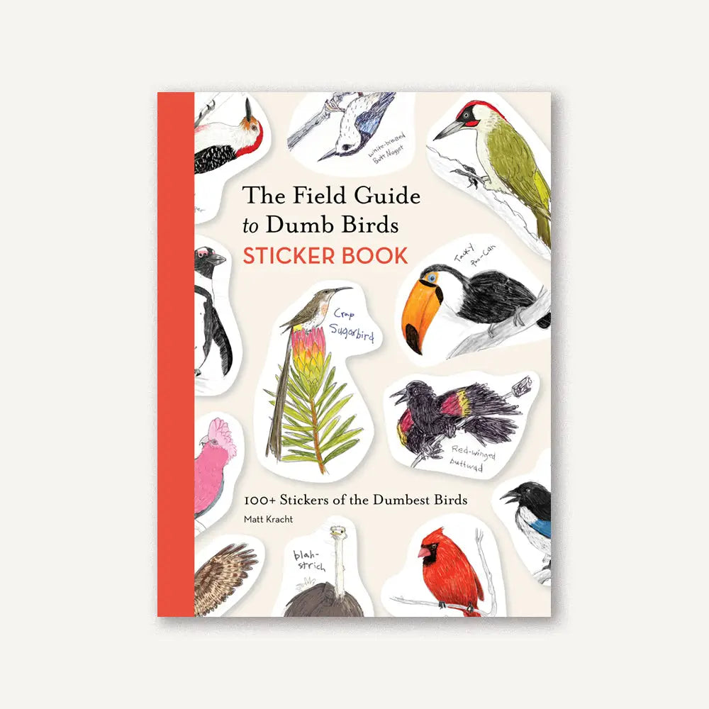 Field Guide To Dumb Birds Sticker Book – Little Craft Place