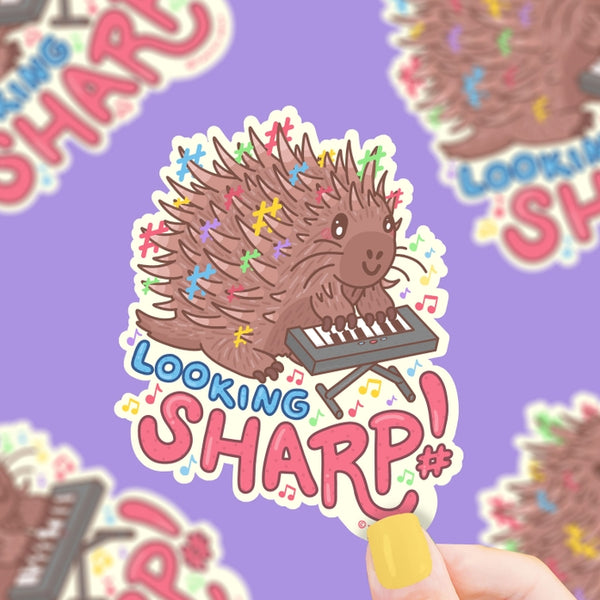 Looking Sharp Porcupine Vinyl Sticker