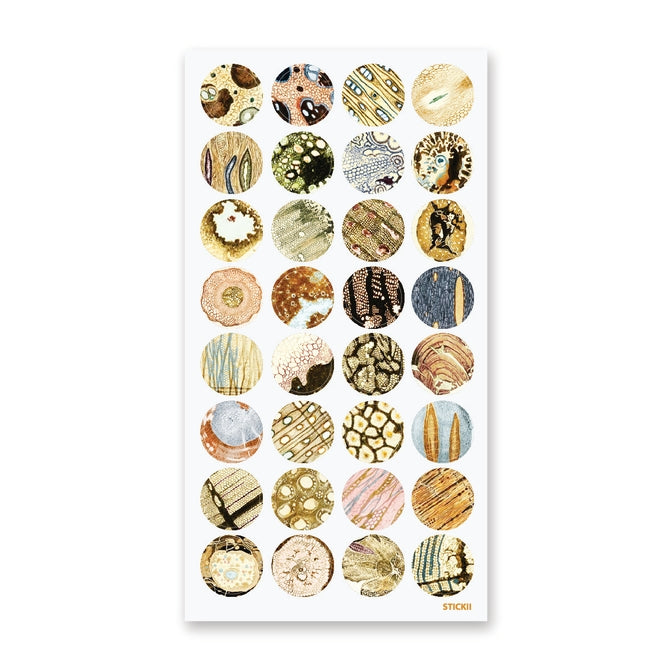 Microscope Slides Sticker Sheet