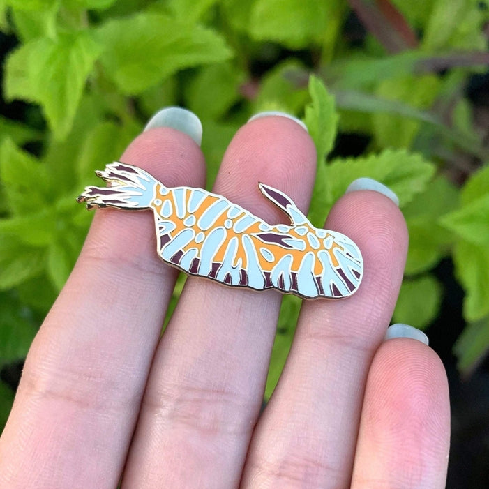 Tooth-Edged Chromodoris Nudibranch Pin – Little Craft Place