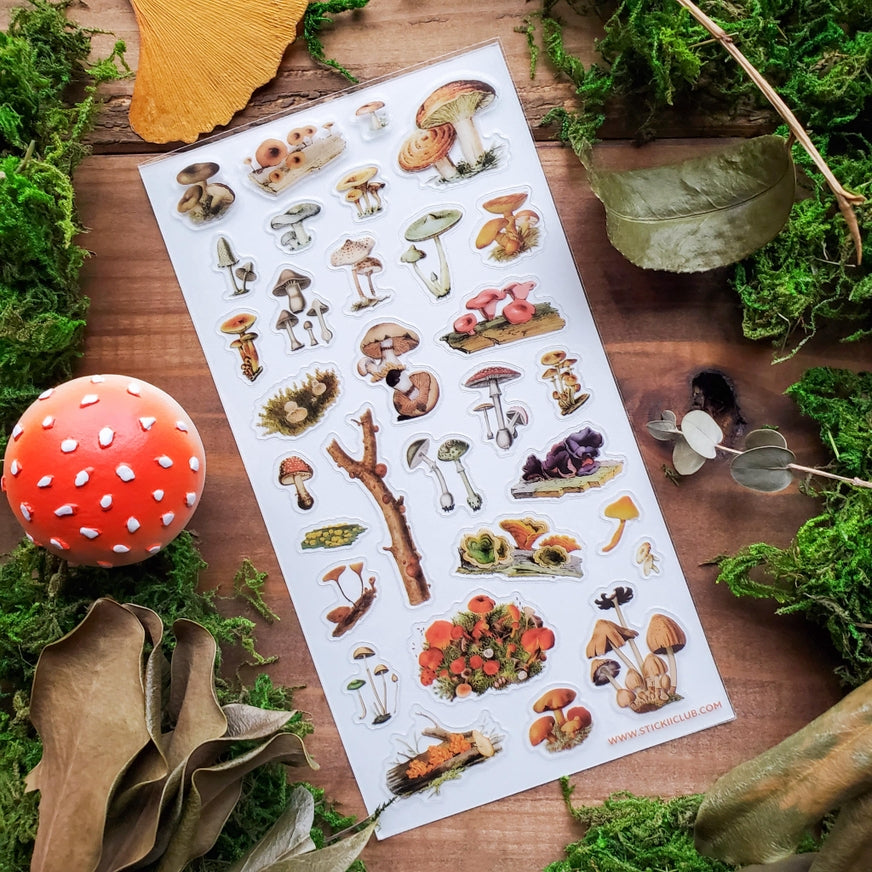 World of Fungi Sticker Sheet – Little Craft Place