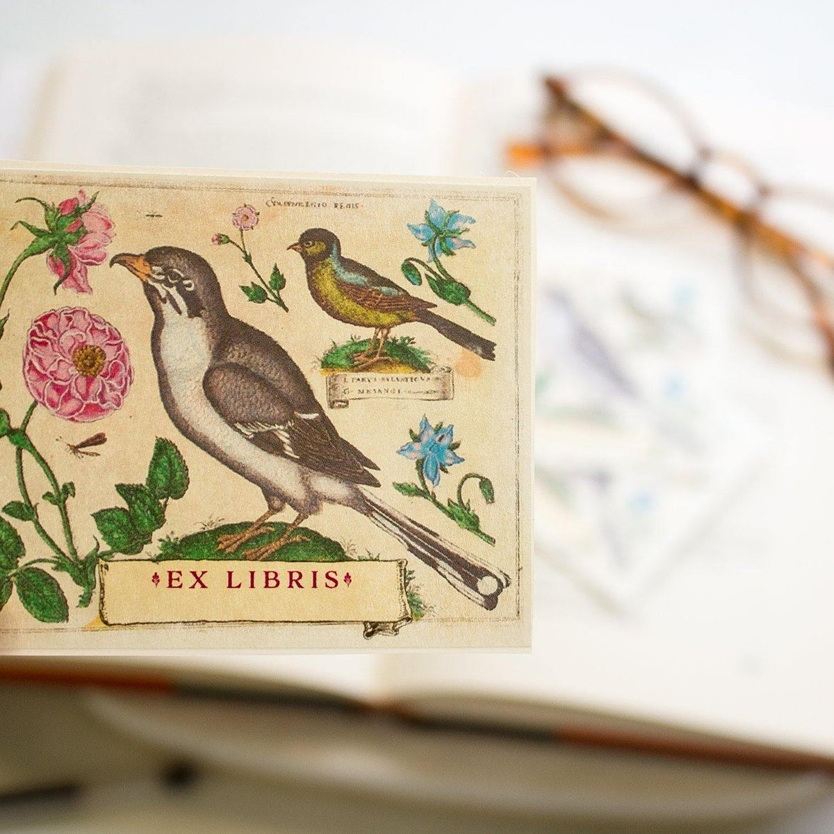 Botanical Bird and Flowers Bookplate Sticker – Little Craft Place