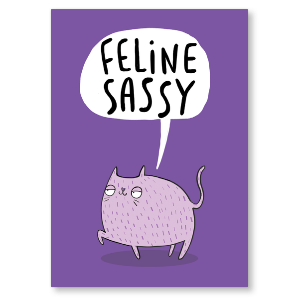 Sassy Cat Gif